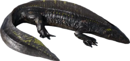 Unnamed Large Amphibian | Jurassic Park Wiki | Fandom