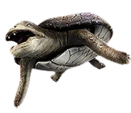 Henodus | Jurassic Park Wiki | Fandom