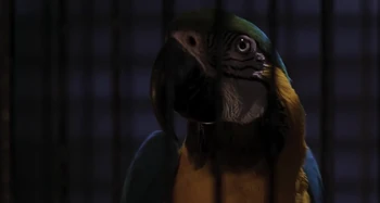 Jack (Macaw) | Jurassic Park Wiki | Fandom