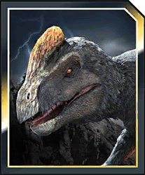 Indochicyon | Jurassic Park Wiki | Fandom