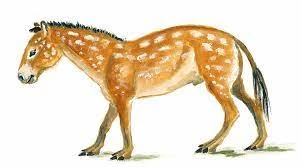 Eohippus | Jurassic Park Wiki | Fandom