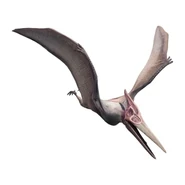 Pteranodon/Games | Jurassic Park Wiki | Fandom