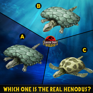 Henodus | Jurassic Park Wiki | Fandom