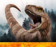 Red (Atrociraptor) | Jurassic Park Wiki | Fandom