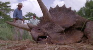 Gerry Harding | Jurassic Park Wiki | Fandom