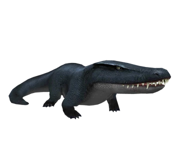 labyrinthodont tooth