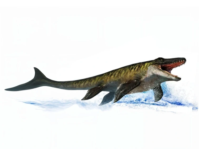 Giant Mosasaur Size