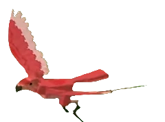 Claridon | Jurassic Park Wiki | Fandom