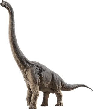 Brachiosaurus, El Rey De Los Dinosaurios