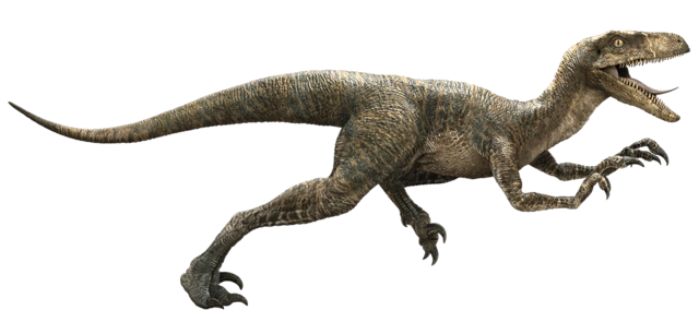 Echo | Jurassic Park Wiki | Fandom