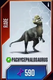 Pachycephalosaurus/JW: TG | Jurassic Park Wiki | Fandom