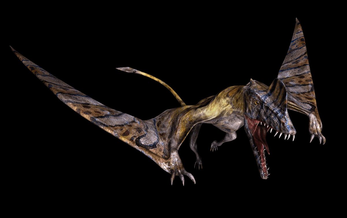 Scaphognathus/JW: A | Jurassic Park Wiki | Fandom