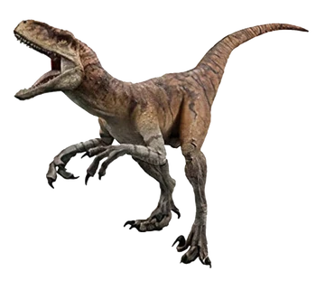 Atrociraptor | Jurassic Park Wiki | Fandom