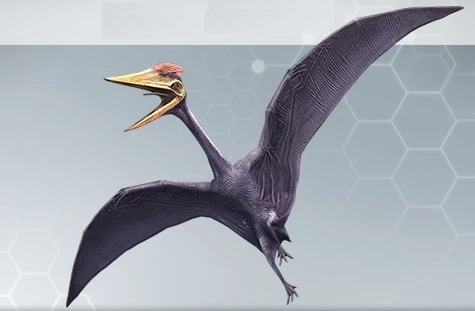 Zhejiangopterus | Jurassic Park Wiki | Fandom
