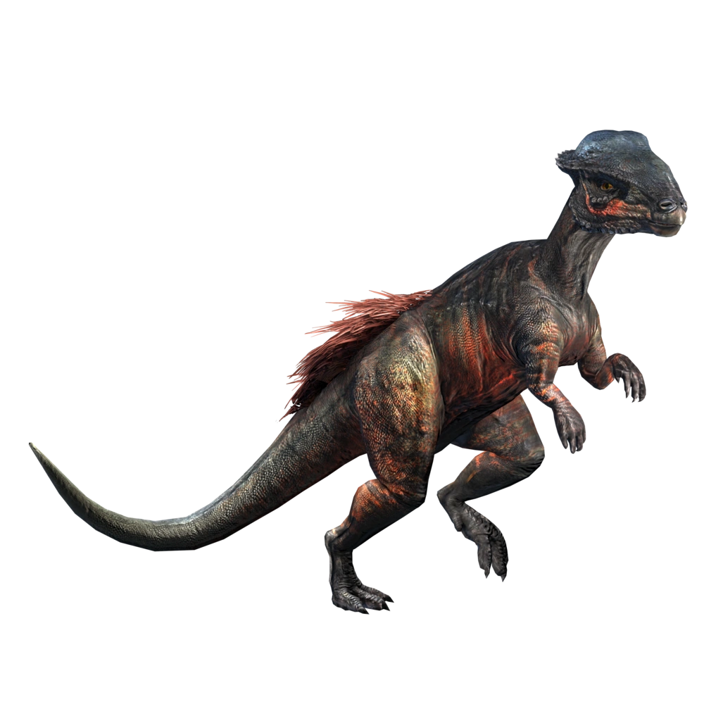 Category:Stegoceras Pages | Jurassic Park Wiki | Fandom