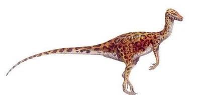 Coelurus | Wikia Jurassic Park | Fandom