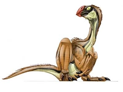Conchoraptor | Jurassic Park Wiki | Fandom