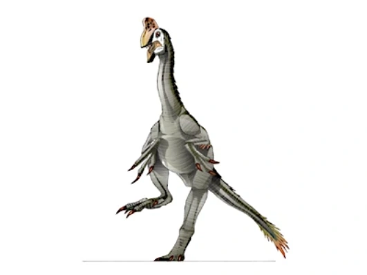 Nomingia | Jurassic Park Wiki | Fandom