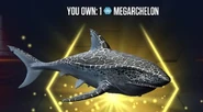 Megarchelon | Jurassic Park Wiki | Fandom