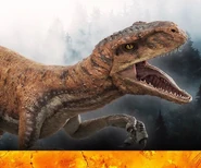 Panthera (Atrociraptor) | Jurassic Park Wiki | Fandom