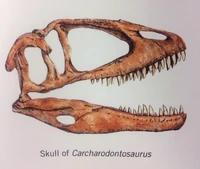Carcharodontosaurus | Jurassic Park Wiki | Fandom