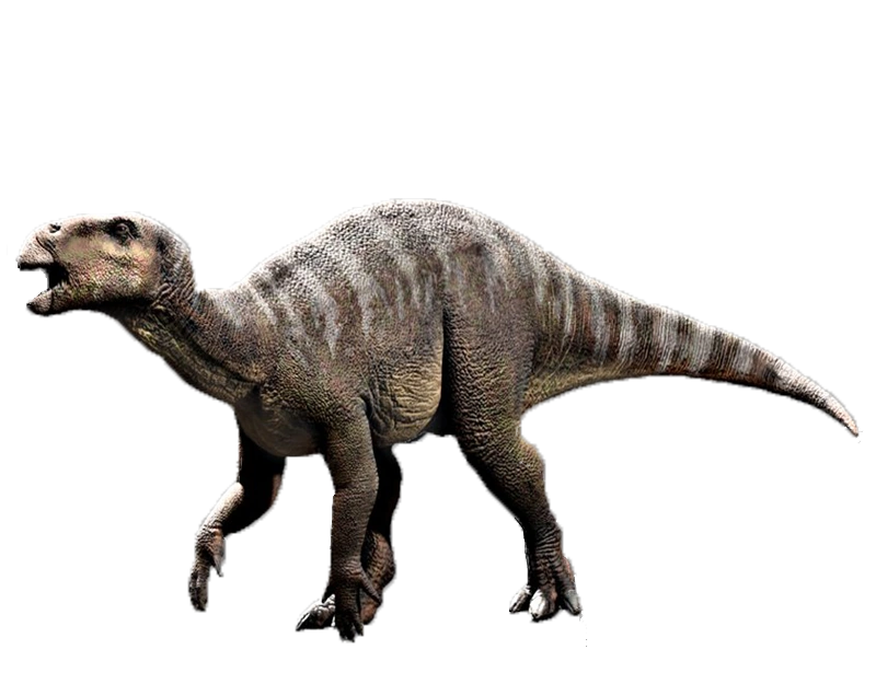 Iguanodon | Jurassic Park Wiki | Fandom