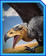 Argentavis | Jurassic Park Wiki | Fandom