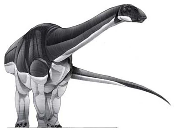 Bellusaurus | Wikia Jurassic Park | Fandom