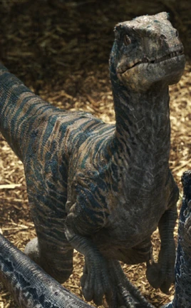 Echo | Jurassic Park Wiki | Fandom