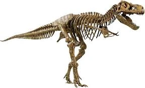 User blog:Tyrannosaurus Rex2.02456/Trex | Jurassic Park Wiki | Fandom