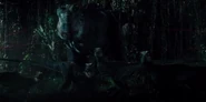 Echo | Jurassic Park Wiki | Fandom