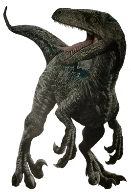 Blue | Jurassic Park Wiki | Fandom