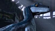 Clever Girl | Jurassic Park Wiki | Fandom