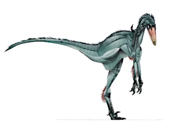 Borogovia | Jurassic Park Wiki | Fandom