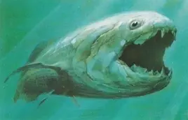 Dinichthys | Jurassic Park Wiki | Fandom