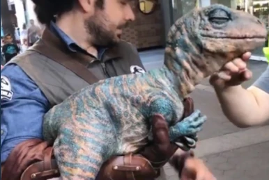 Raptor Bebé Del Parque Jurásico