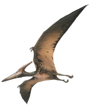 Jurassic Park Pteranodon Flyr