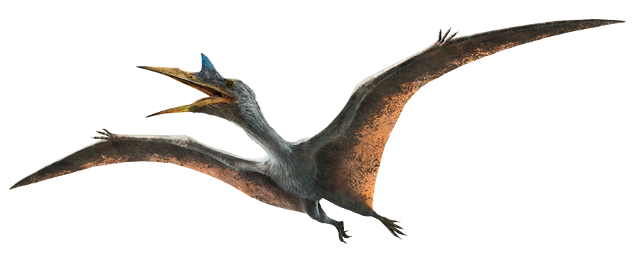 Quetzalcoatlus | Wikia Jurassic Park | Fandom