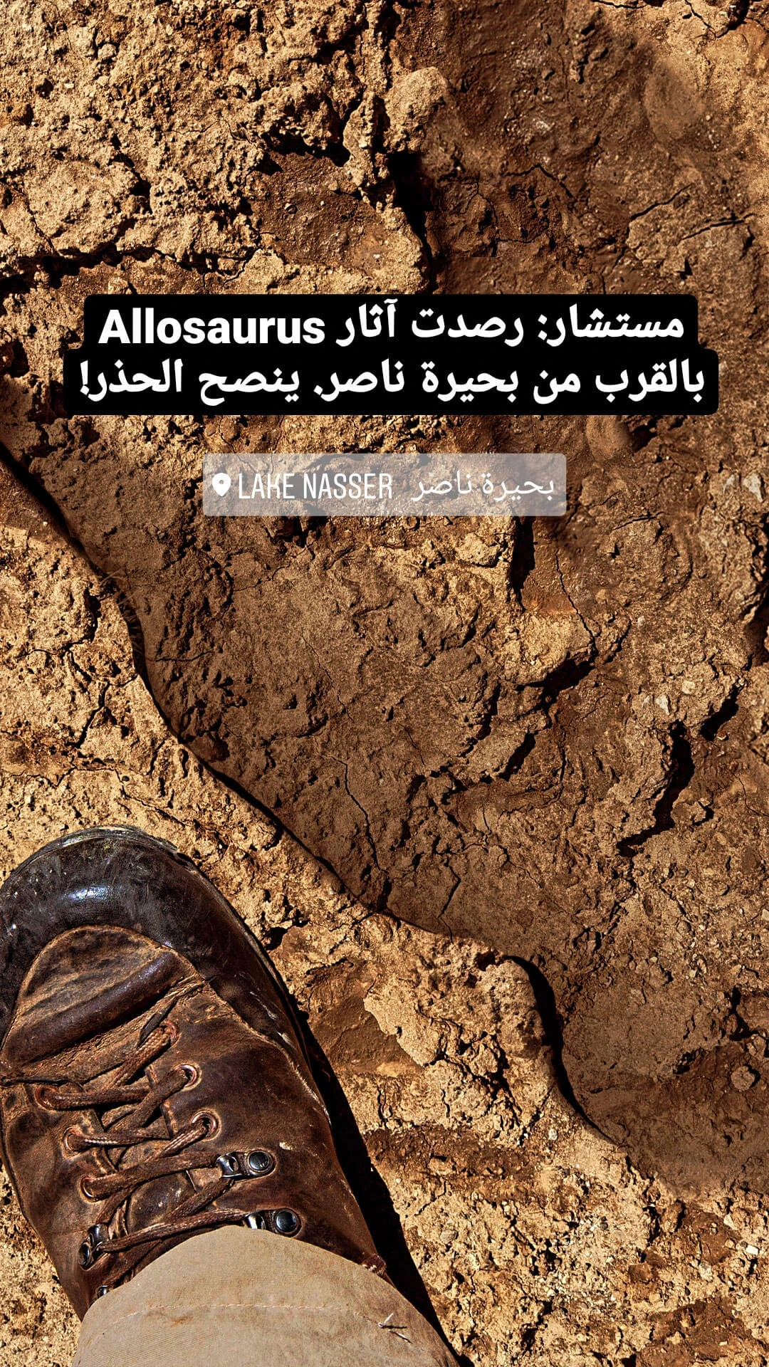 DinoTracker.com | Jurassic Park Wiki | Fandom