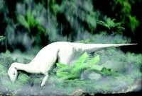 Albalophosaurus | Jurassic Park Wiki | Fandom