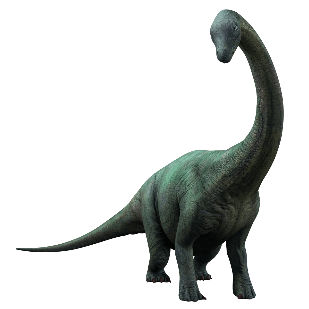 Apatosaurus/JW: A | Jurassic Park Wiki | Fandom