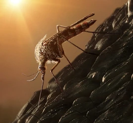 Unidentified Cretaceous Mosquito | Jurassic Park Wiki | Fandom