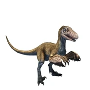 Pyroraptor/JW: TG | Jurassic Park Wiki | Fandom