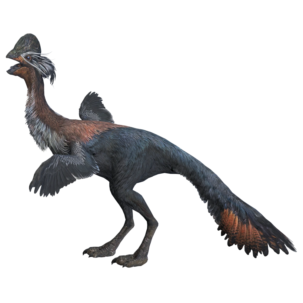 Category:Rinchenia Pages | Jurassic Park Wiki | Fandom