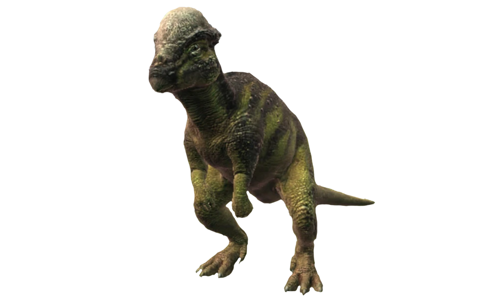 Sphaerotholus | Jurassic Park Wiki | Fandom