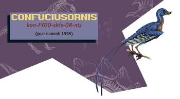 Confuciusornis | Jurassic Park Wiki | Fandom