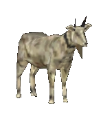 Cabra | Jurassic Park Wiki | Fandom