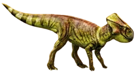 Microceratus | Jurassic Park Wiki | Fandom