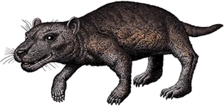 Didelphodon | Jurassic Park Wiki | Fandom