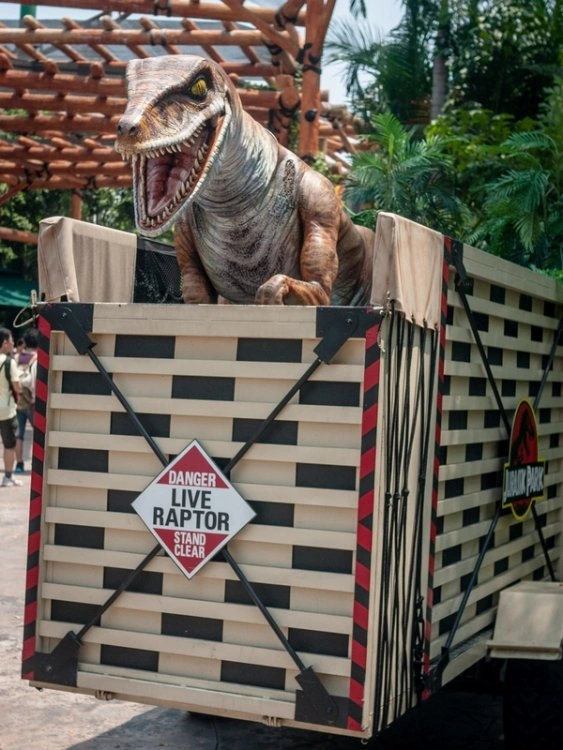 Patsy (Velociraptor) | Jurassic Park Wiki | Fandom